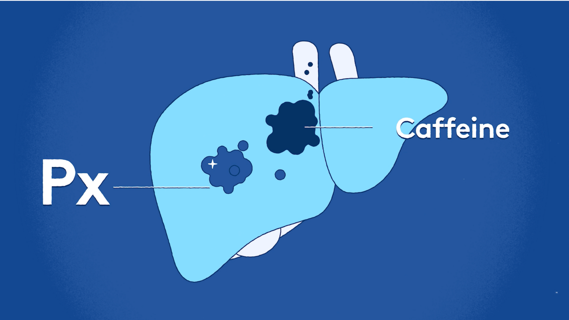 What Is Px and How Does It Change Coffee as We Know It? – Rarebird Coffee